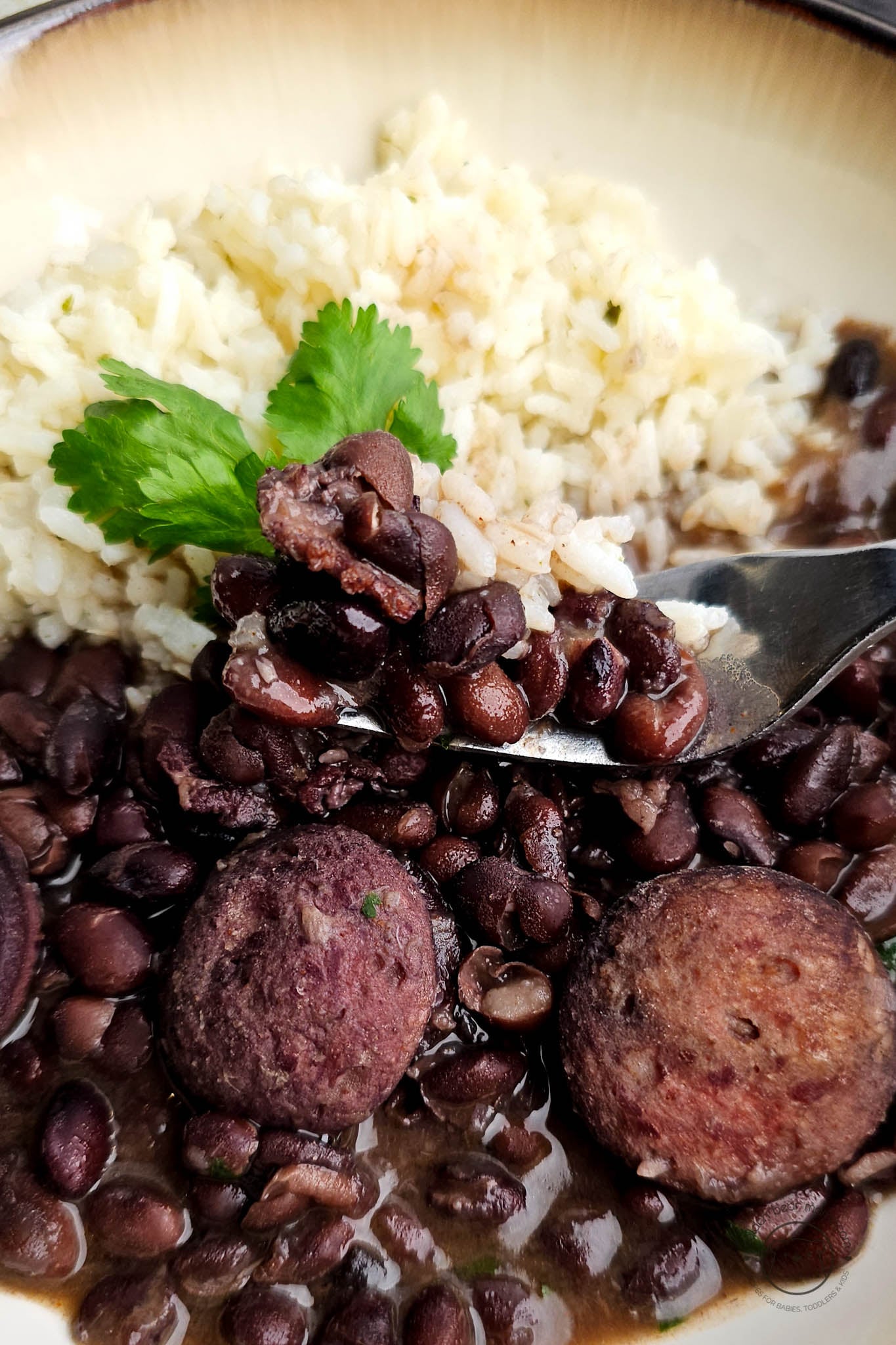 Easy Pressure Cooker Brazilian-Style Black Beans - Golden Bear Mama